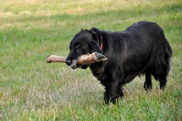 Flati ze Stareho Brazdima - o nas